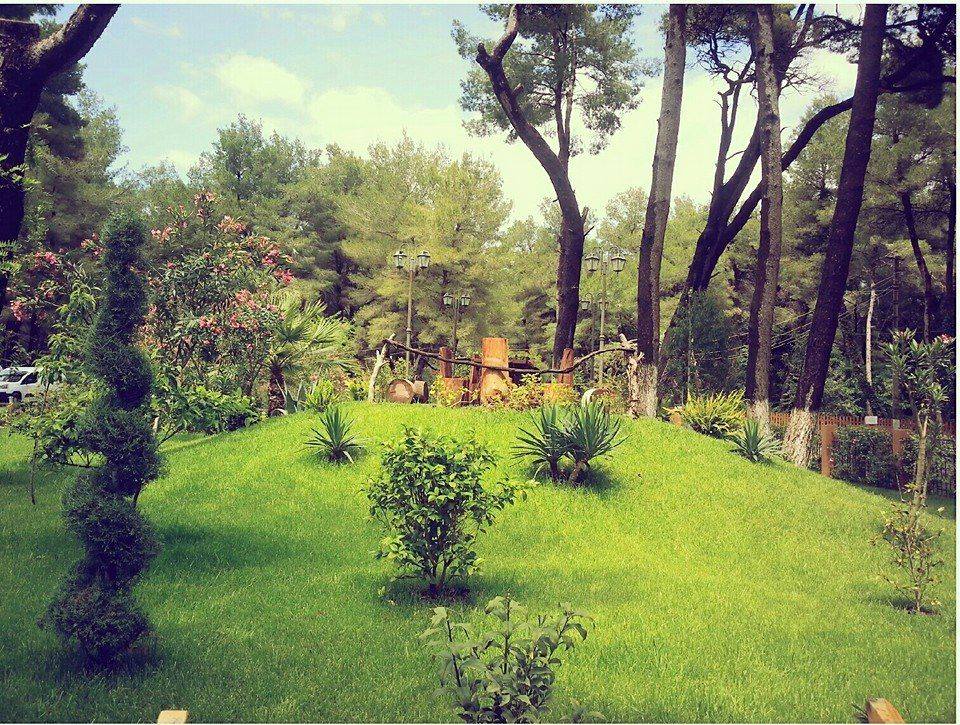 Unique elements of nature that make Divjaka the preferred destination • IIA