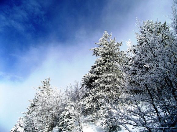 Albania covered in snow! • IIA