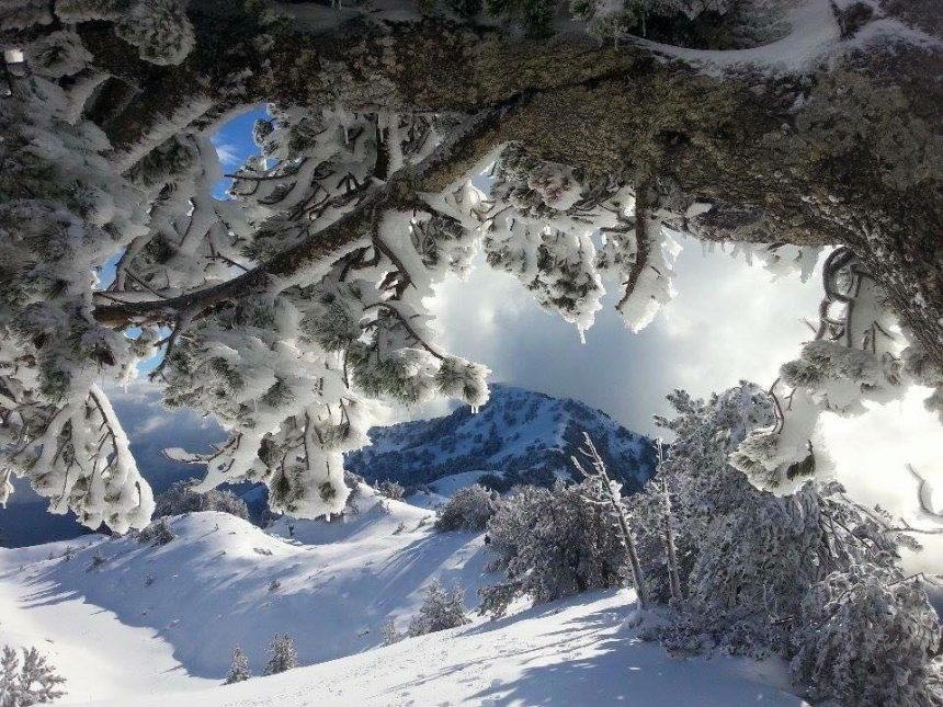 Snow tourism continues in spring season • IIA