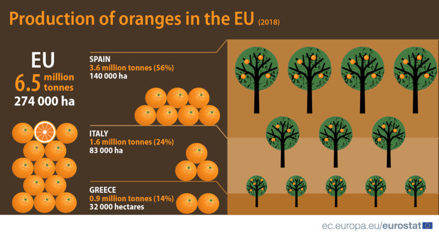 Albania among Top Orange Producers in Europe in 2018 • IIA