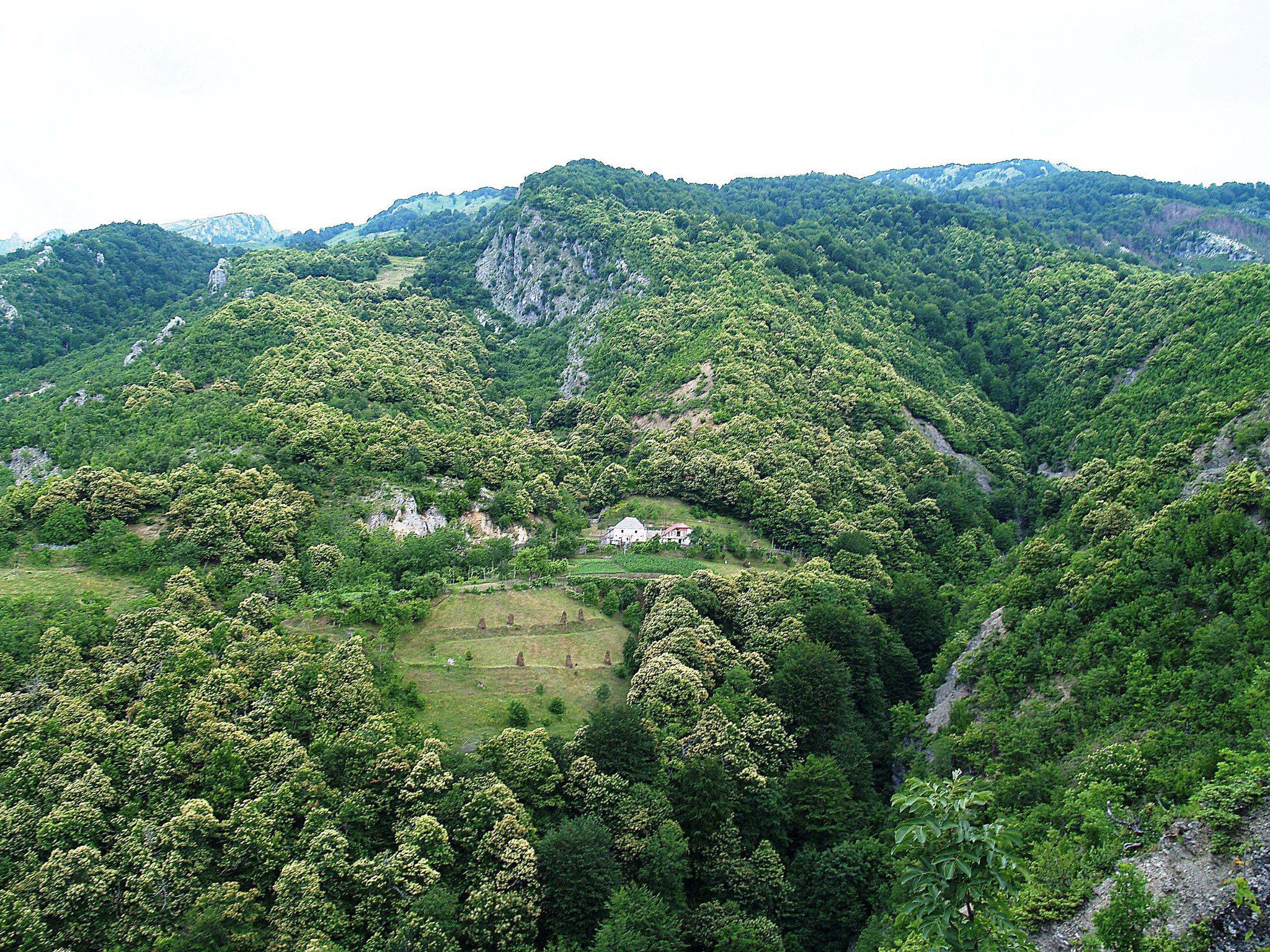 From Tropoja to Korca: Where to Find Chestnuts • IIA