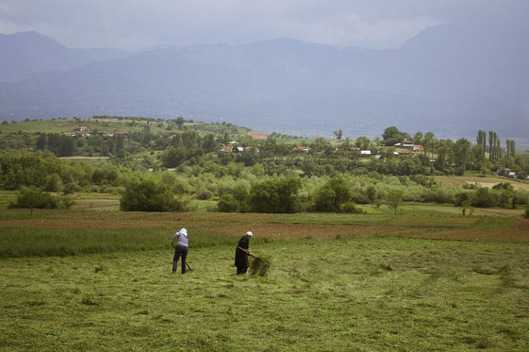 Invest in Agriculture in Albania • IIA
