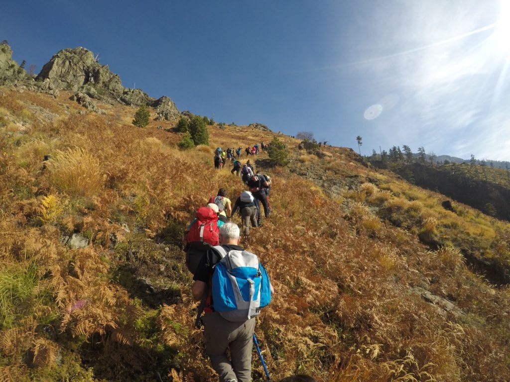 Hiking in the Mountain of the Balkan Lynx • IIA