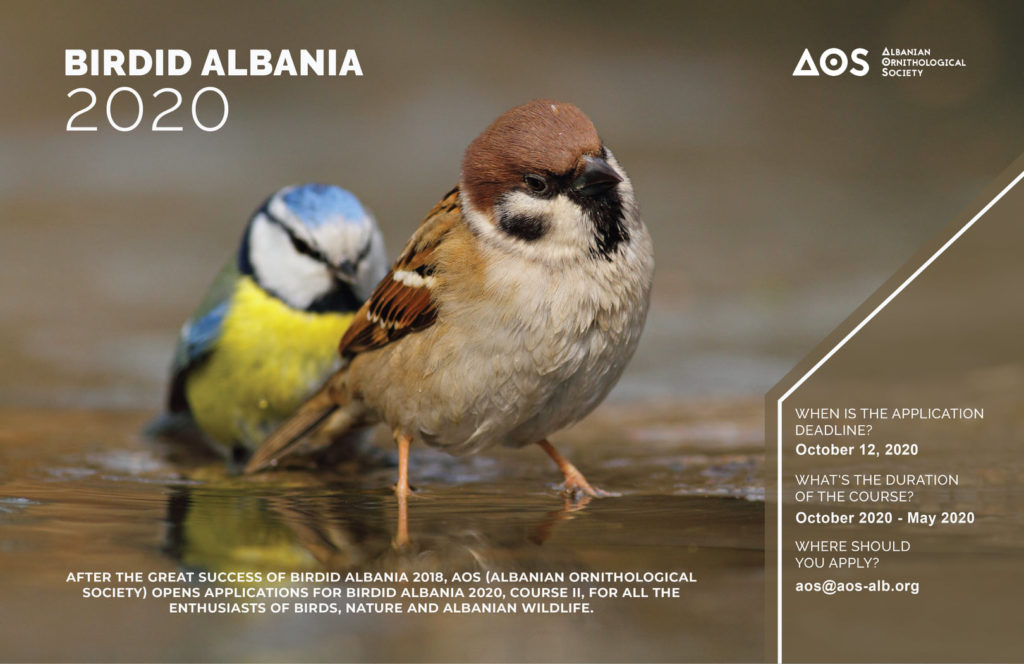 Last day to Apply for AOS’s Bird Identification Albania Course • IIA