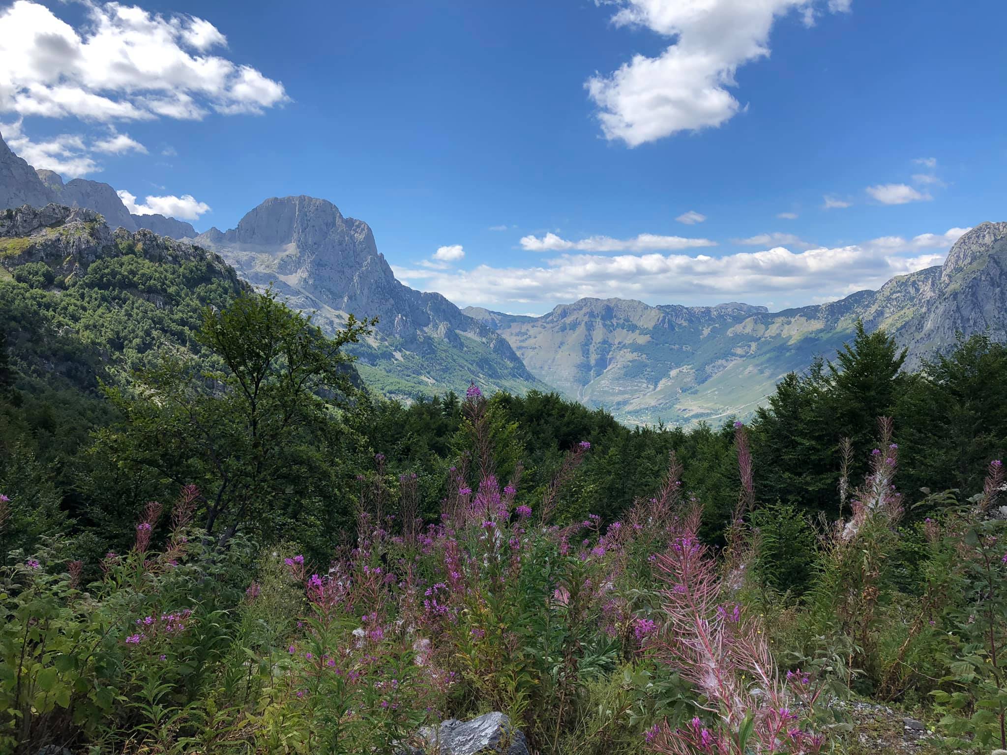 Discover Boga Glacial Valley • IIA