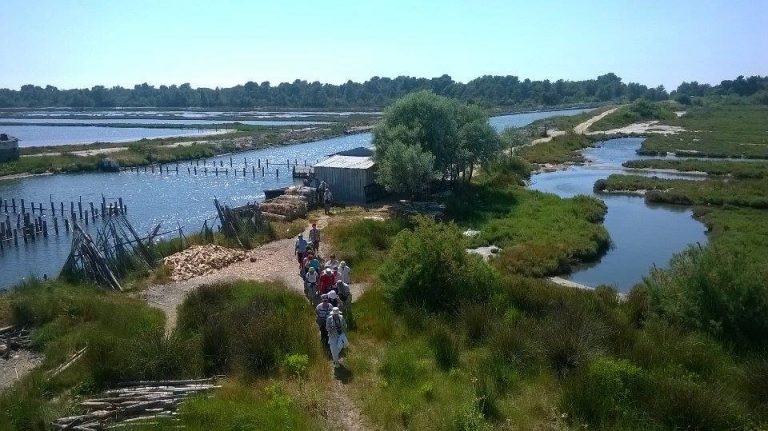 Divjaka opens its summer touristic season • IIA