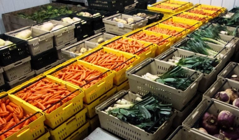 Albania’s agricultural exports up during first quarter of 2015 • IIA