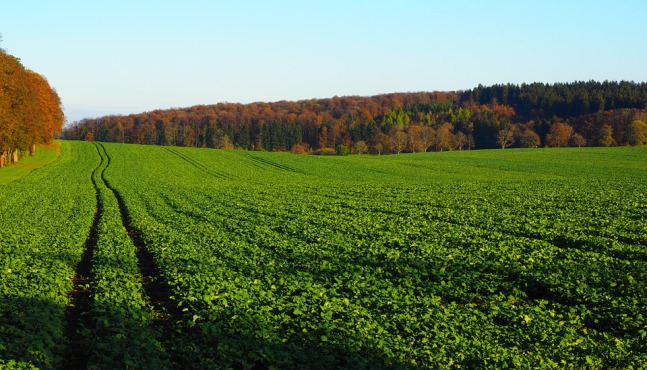 Albania and Epirus Region to cooperate in the agriculture field ...