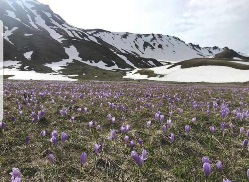 Best Winter Activities in Dibra • IIA