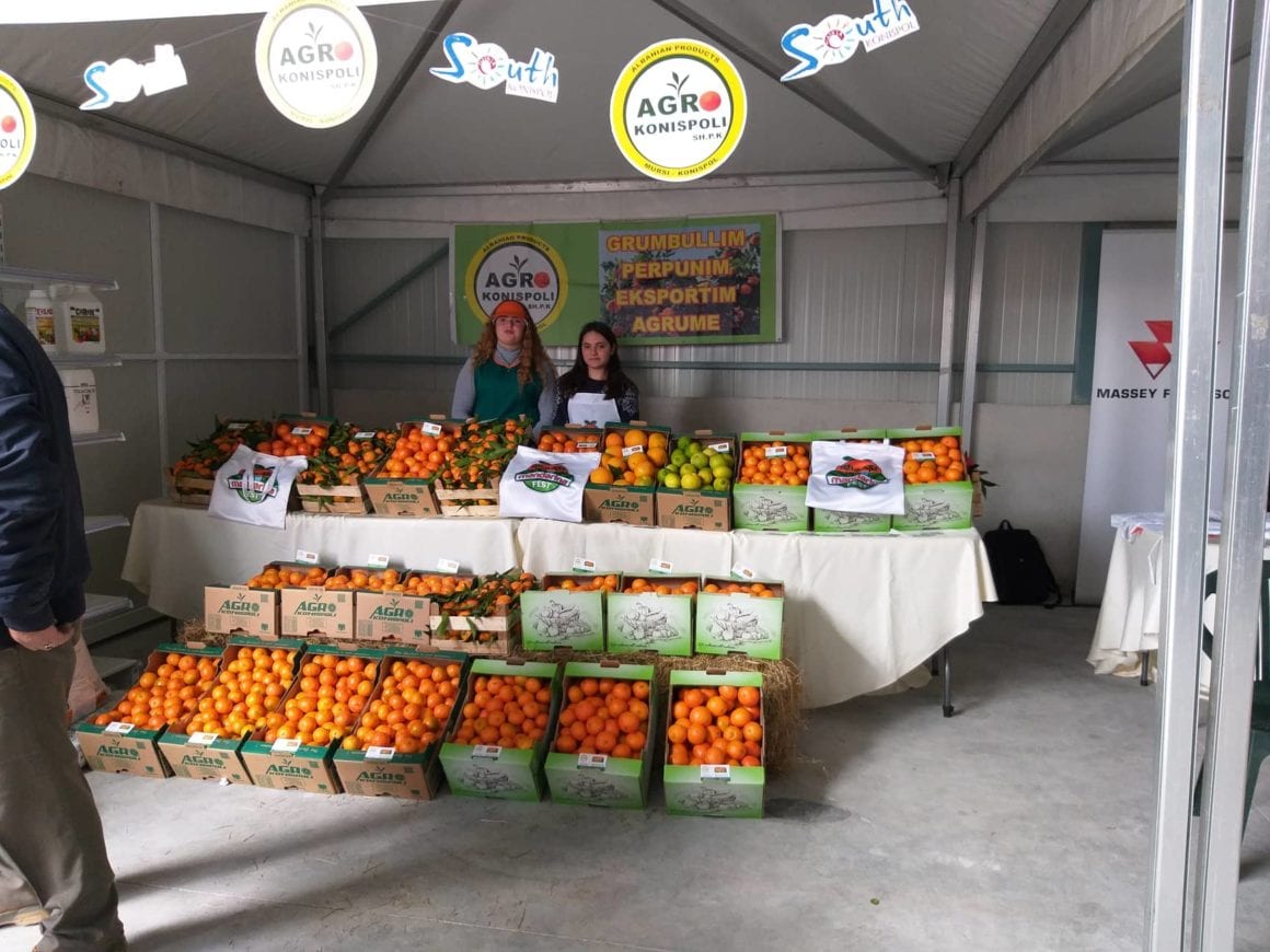 Local Festivals You Should Attend in Albania in 2019 • IIA