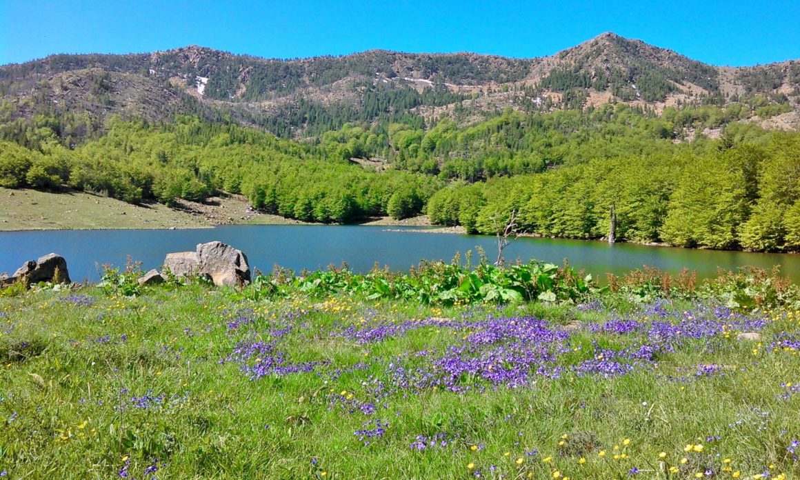 Travel the Unknown: Explore Kacnia Glacial Lakes in Dibra • IIA