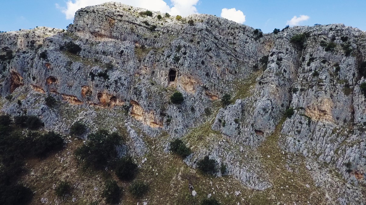 Albanian Products: Konispoli Mandarins • IIA