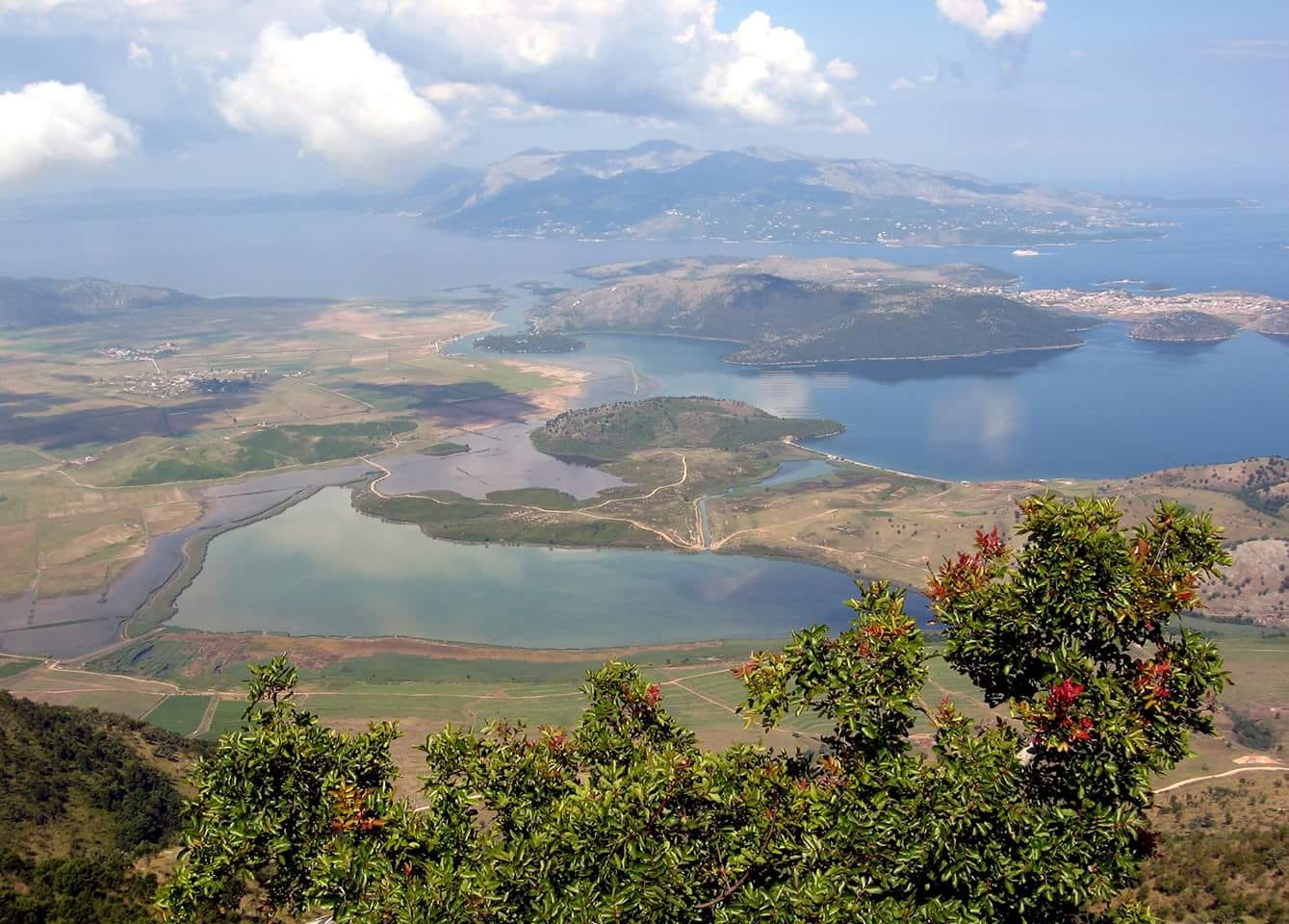 Albanian Products: Konispoli Mandarins • IIA