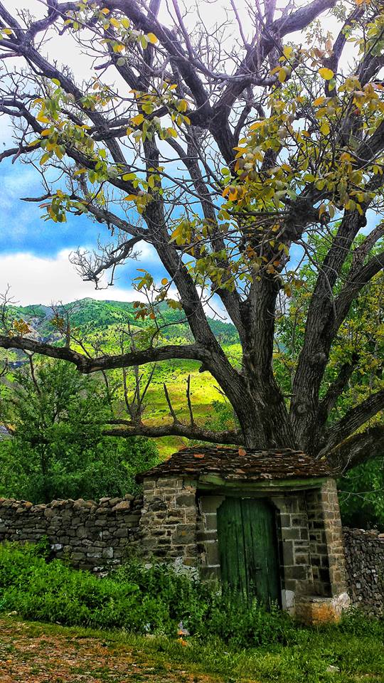 Why Rehova Village Is No Ordinary Destination? • IIA