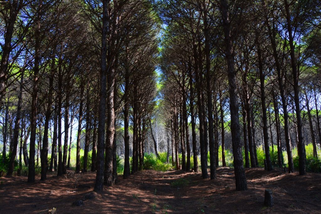 Unknown Destinations: Explore Seman River Valley • IIA