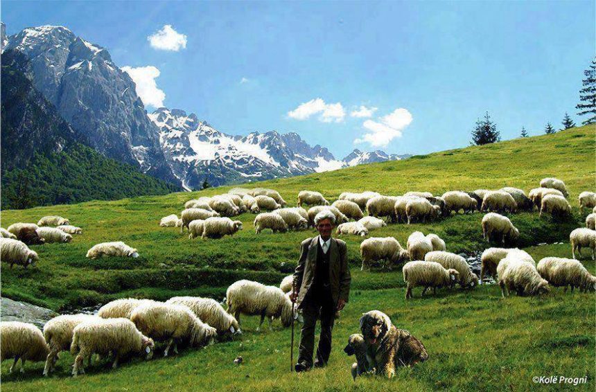 Valbona Valley (National Park), the destination of relax • IIA